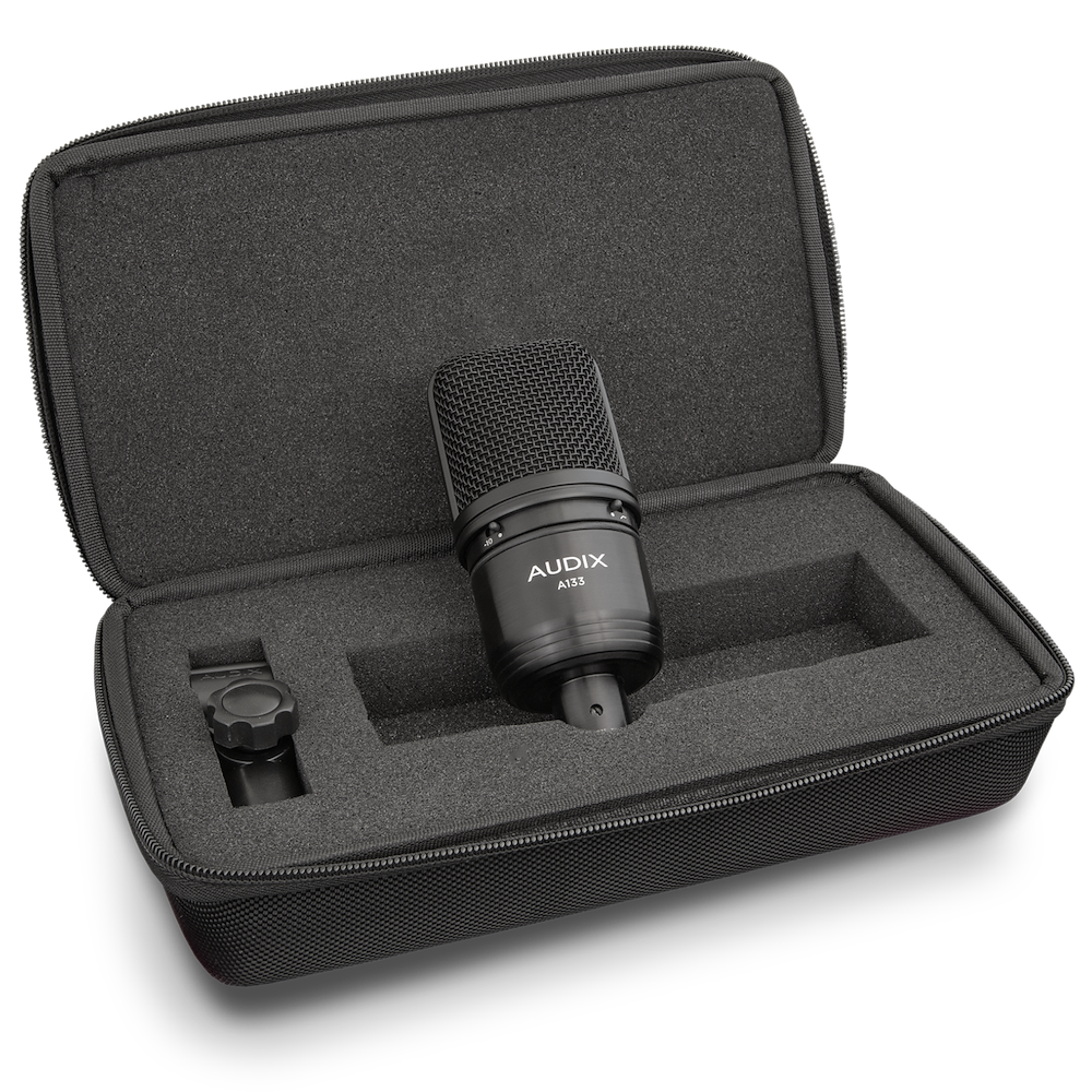 Large Diaphragm Studio Condenser Mic with Pad and Roll Off - AX A133 ...